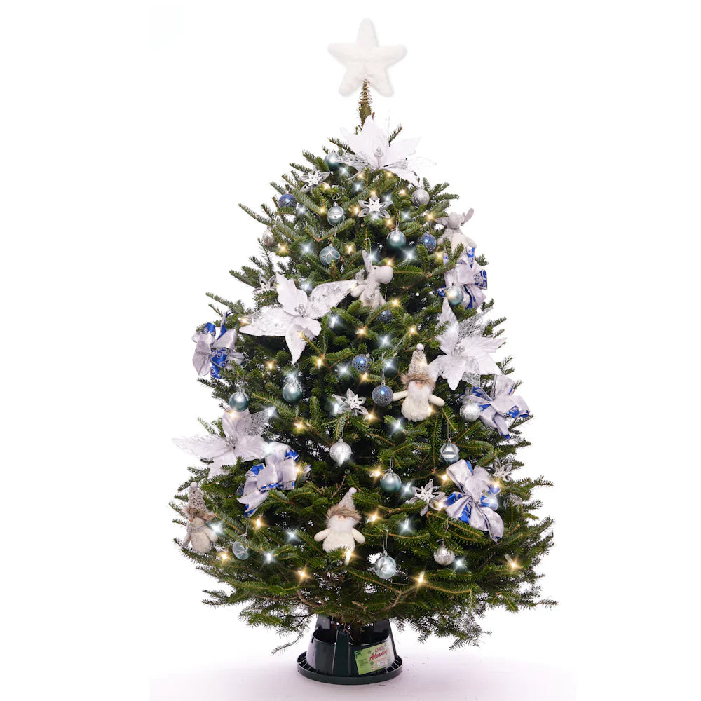 Christmas Tree and Decorations Kits in Toronto – Treasy Toronto